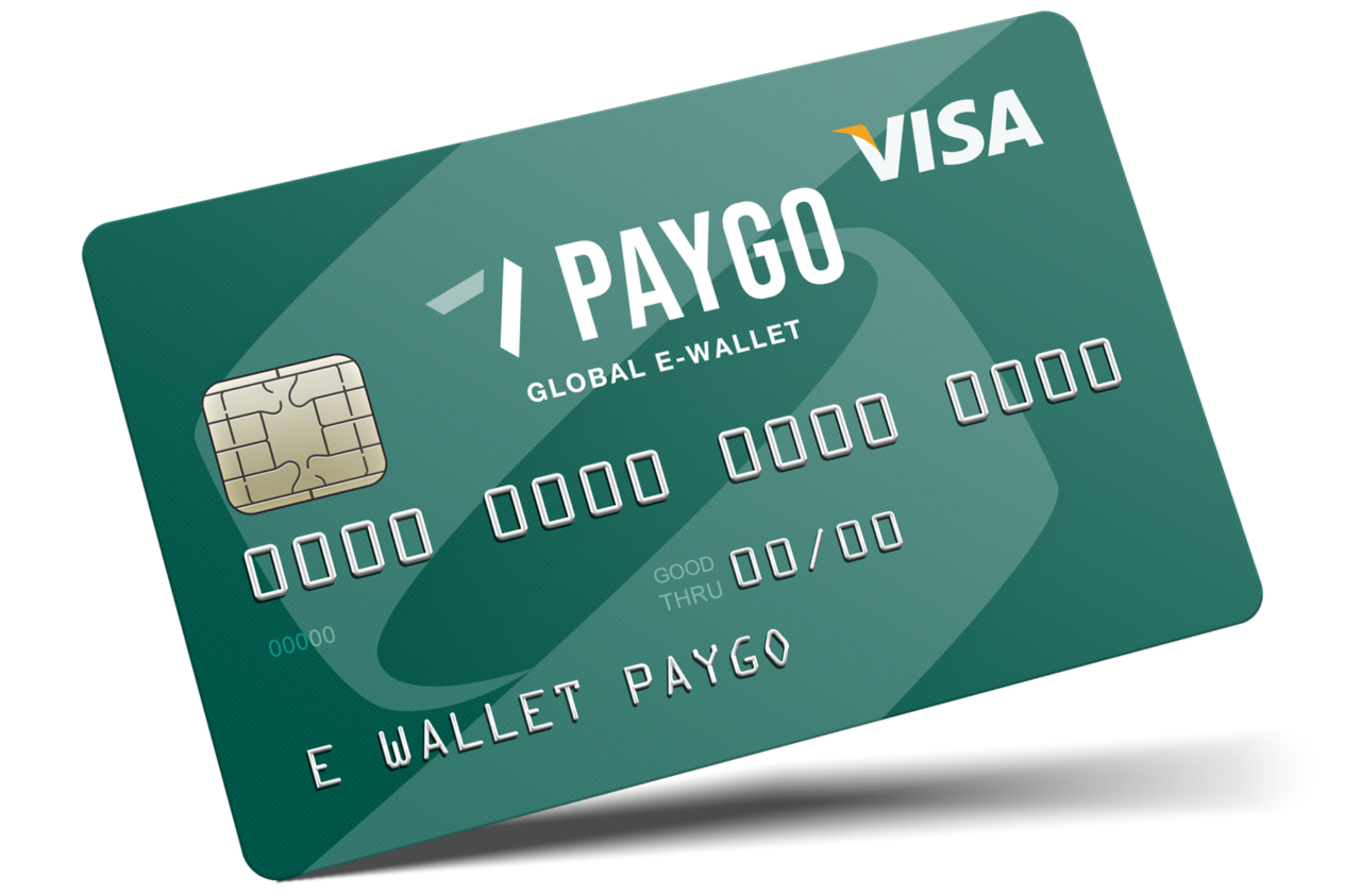 グローバル電子マネー決済サービス PAYGO - 合同会社バイビット